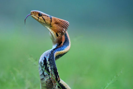 Python Courses South Africa | Jumping Bean